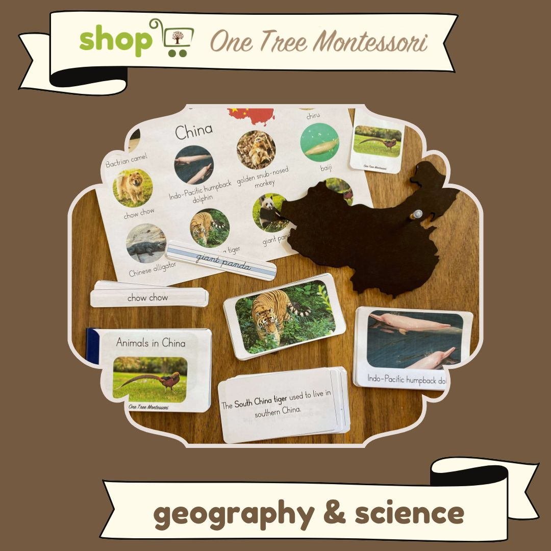 Geography & Science – One Tree Montessori Pedagogical Systems