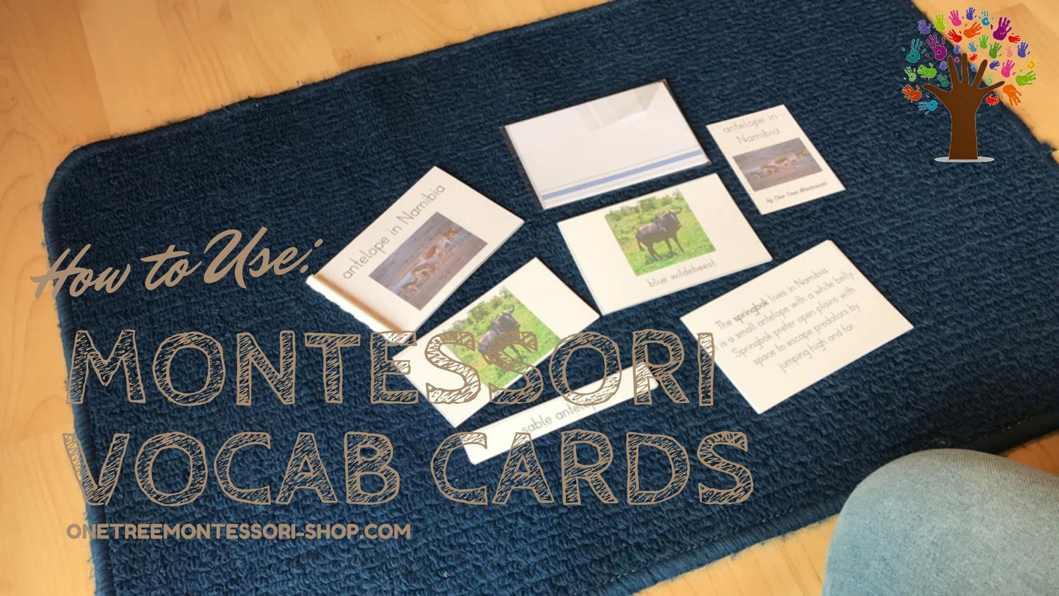 Vocabulary Cards – One Tree Montessori Pedagogical Systems