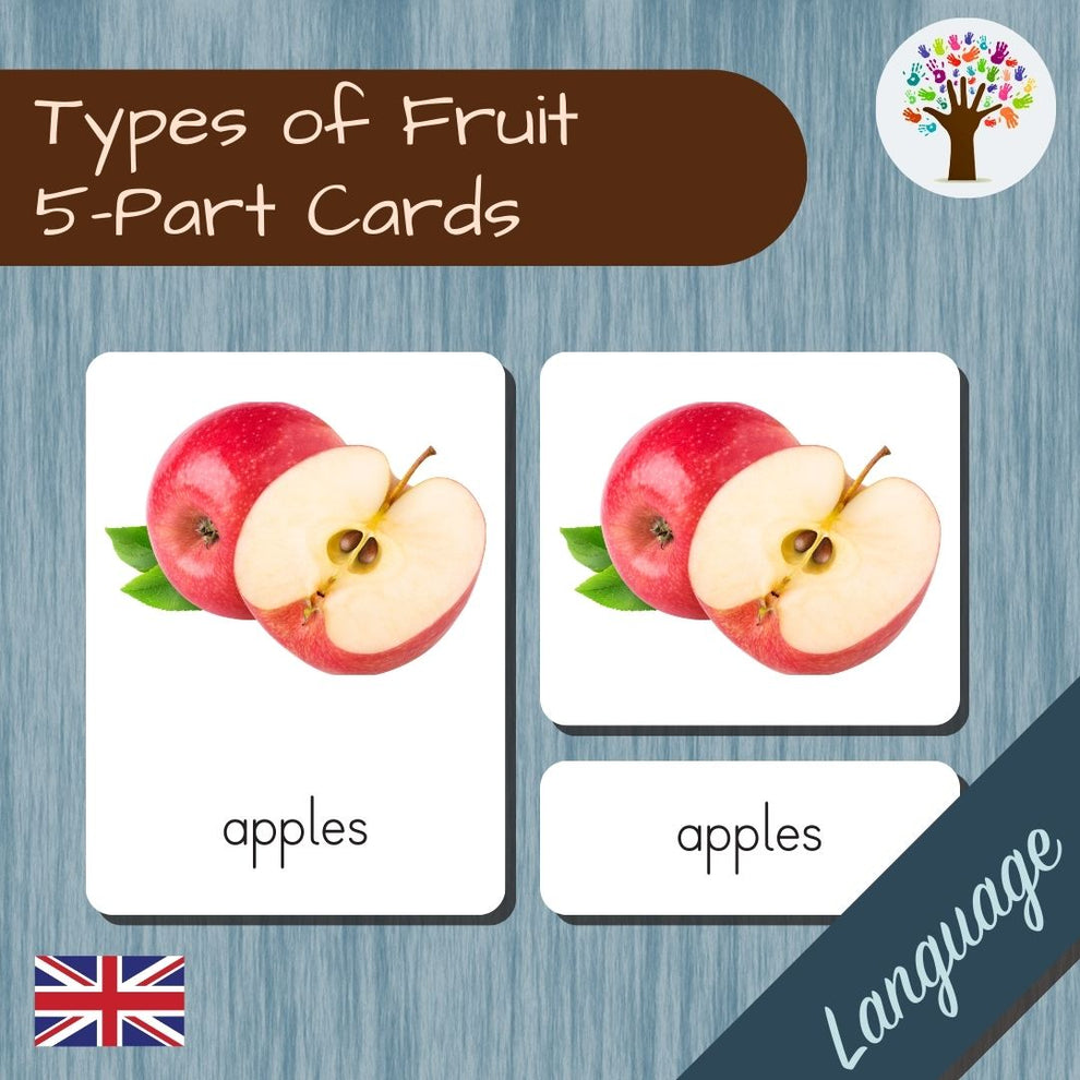 Types of Fruit (Montessori 3-Part Cards) – One Tree Montessori ...