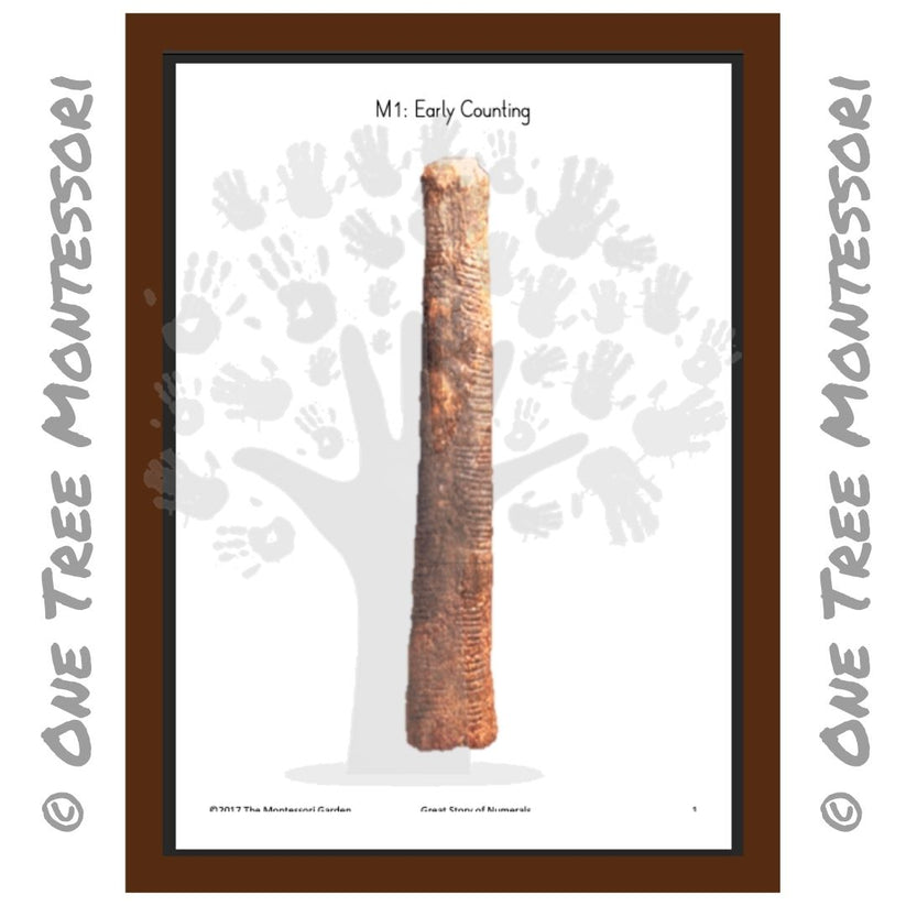 Visual Charts for the 5th Great Lesson: The Story of Numbers - Free fo ...